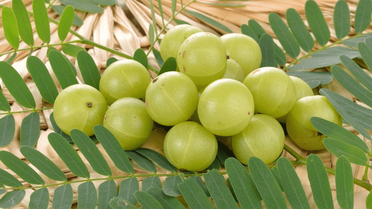 amla Gooseberry health benefits in Kannada | ಆರೋಗ್ಯ ವೃದ್ಧಿಗೆ ವರದಾನ ...