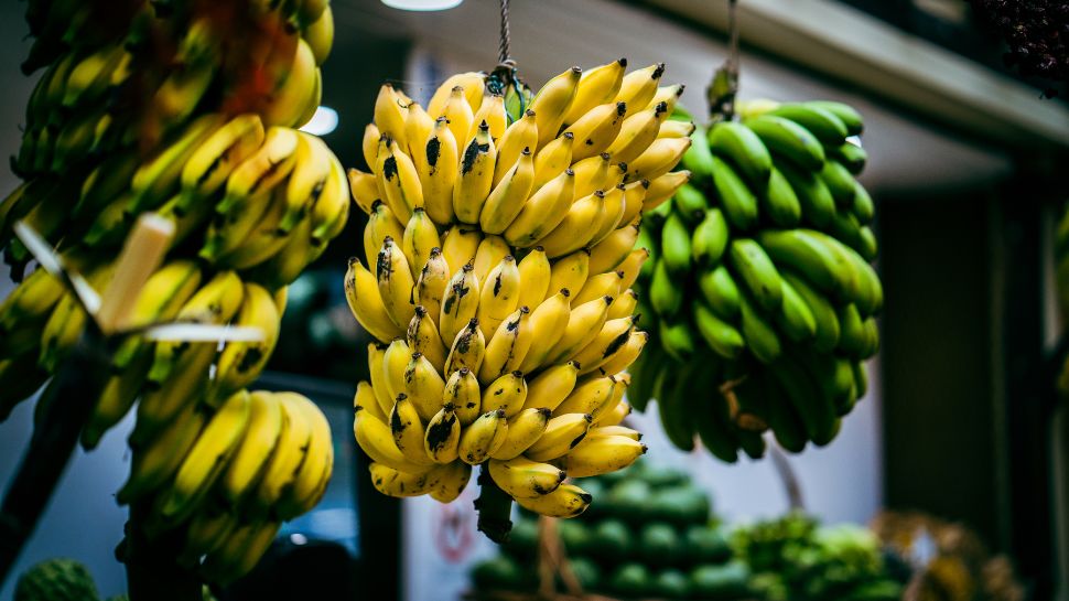 Banana Health Benefits | ಪ್ರತಿದಿನ 2 ಬಾಳೆಹಣ್ಣು ತಿನ್ನಿ, ಆಮೇಲೆ ನೋಡಿ ...
