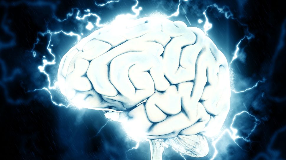 This small mistake you make can ruin your brain health | ನೀವು ಮಾಡುವ ಈ ...
