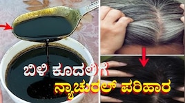 Latest Kannada News Bigg Boss Kannada latest, Bigg Boss Kannada latest ...