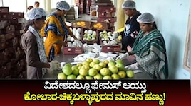 Latest Kannada News Karnataka Mango Export, Karnataka Mango Export News ...