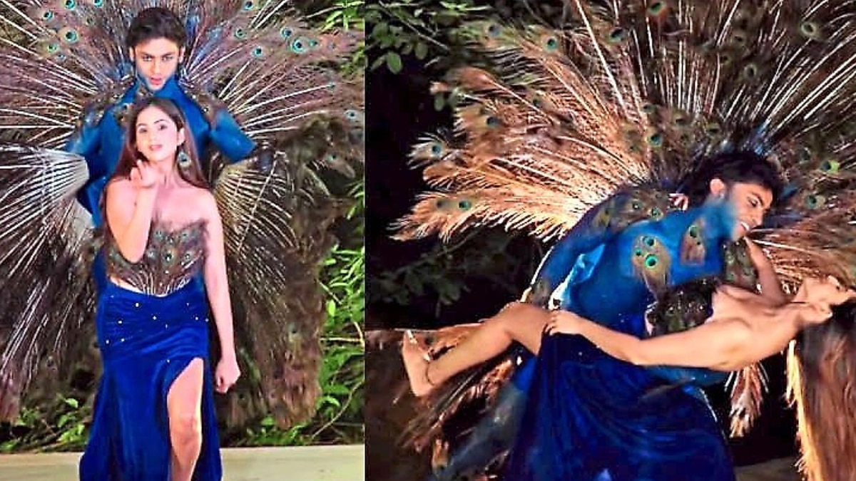 Niveditha gowda peacock dance controversy: ಗೊತ್ತಿಲ್ಲದೆ ಆ ಒಂದು ದೊಡ್ಡ ...