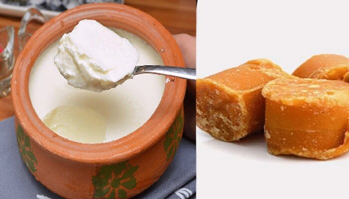 Health benefits of curd and jaggery in summer | ಬೇಸಿಗೆಯಲ್ಲಿ ...