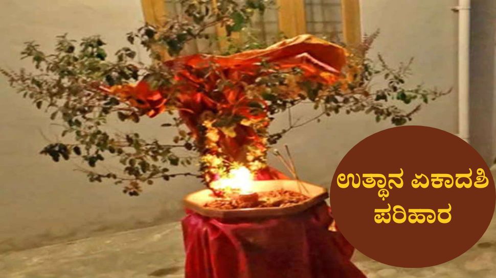 Offer these things to Tulsi on Utthana Ekadashi to be blessed by ...
