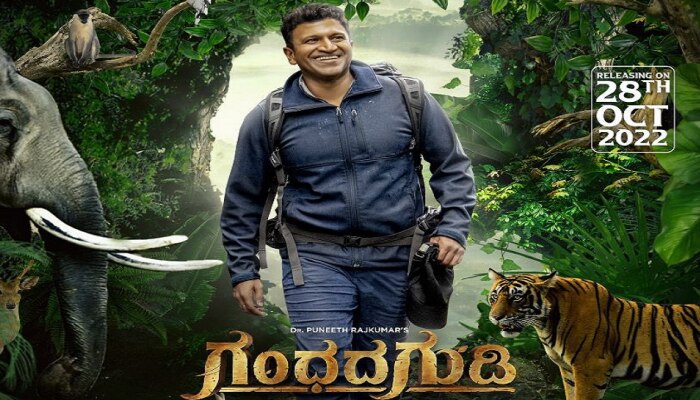 Gandhada Gudi Movie Review Zee News Kannada