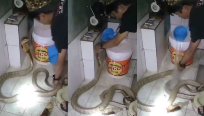 Snake taking bath Video goes Viral | ಹಾವು ಸ್ನಾನ ಮಾಡುತ್ತಿರುವ ವಿಡಿಯೋ ...