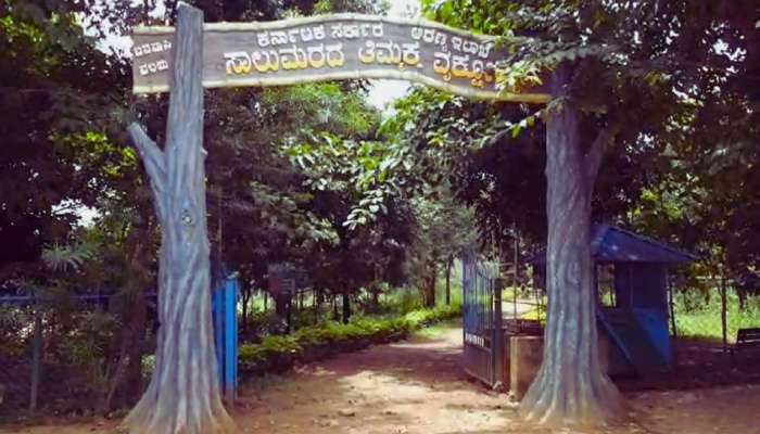 A digital touch to Thimmakka Garden in Salumara, Banavasi | ಬನವಾಸಿಯ ...