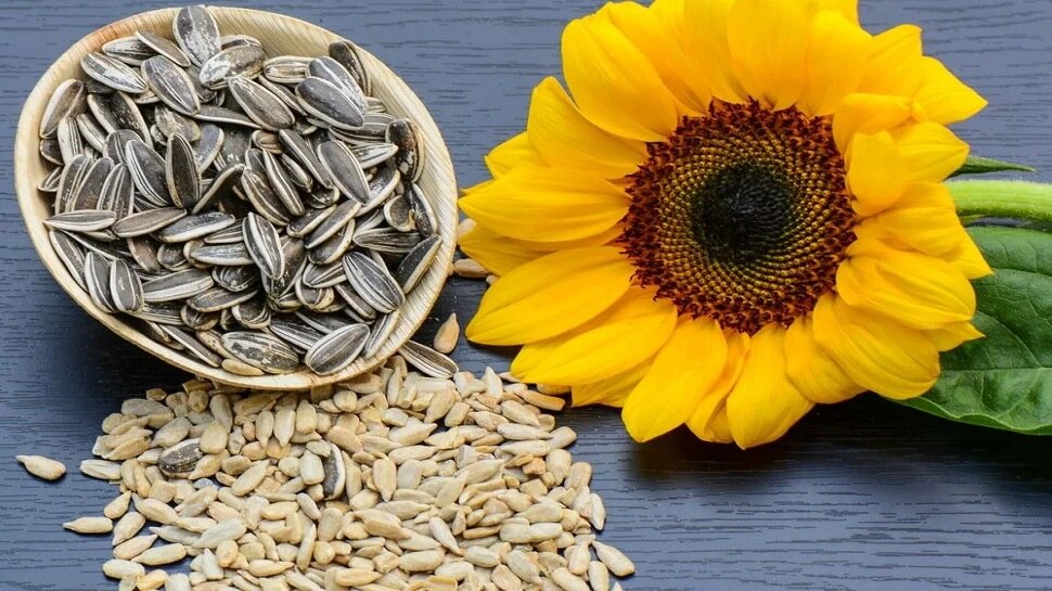 Consume these seeds daily to make your brain work like a super computer ...